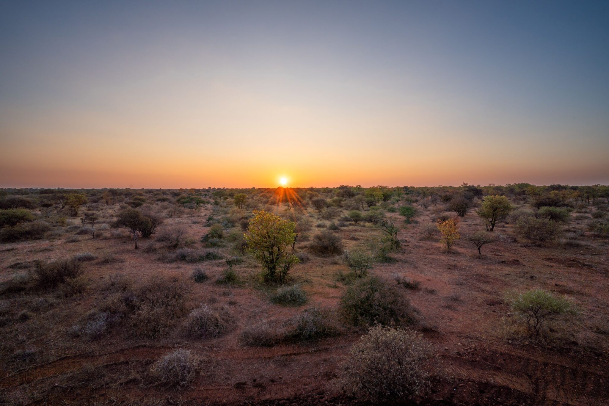 Botswana ist Lonely Planet Trenddestination 2026 | gsi.news